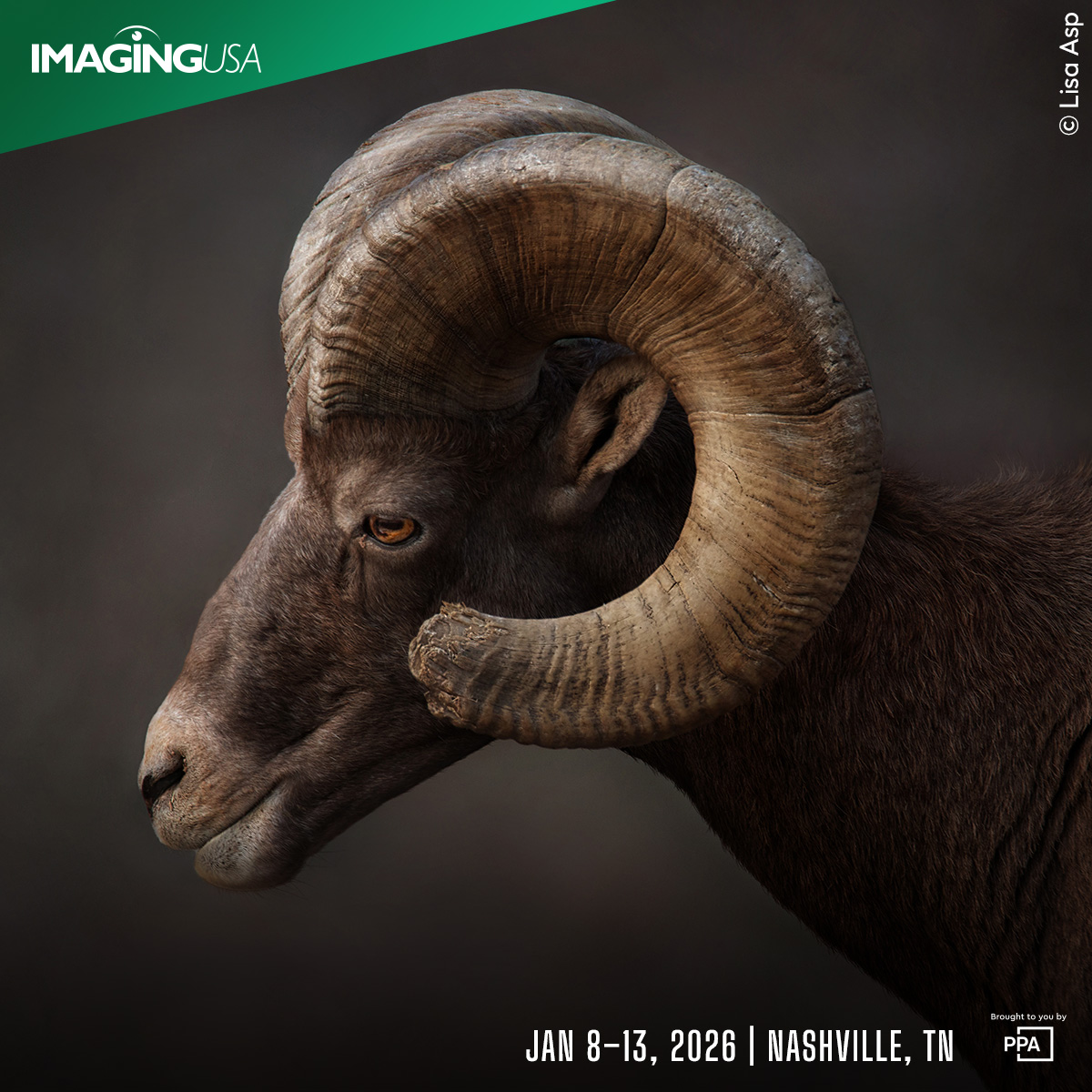 Pre-Conference Photography Classes | Imaging USA 2027 | Imaging USA 2027